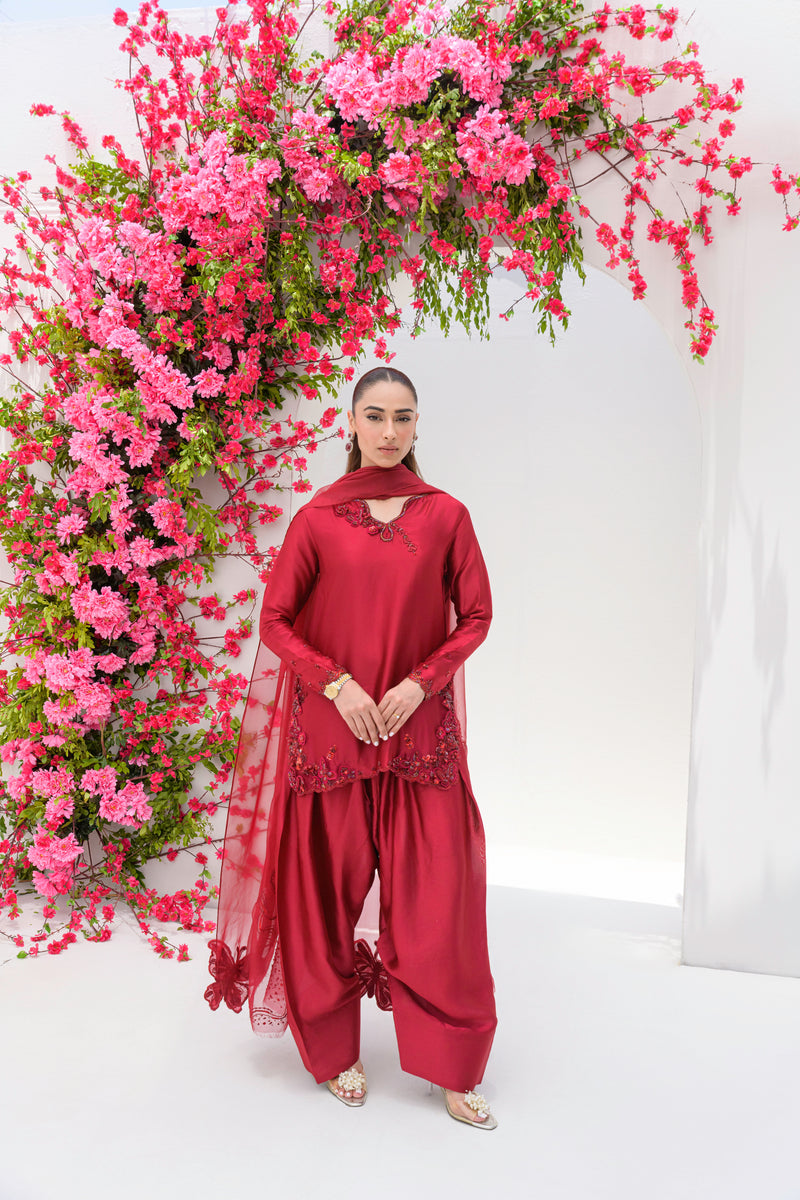 Red Velvet Sheesha Silk Dress for Women – Flairs Studio